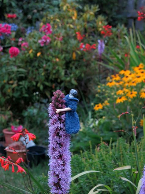 Larking About 2 Quimper Hittys