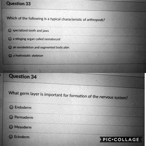 Question 33 Which Of The Following Is A Typical Characteristic Of
