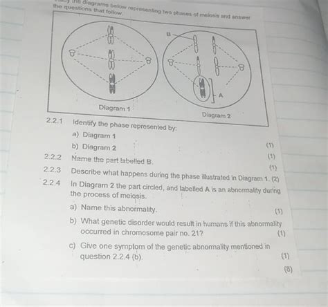 Study The Diagrams Below Representing Two StudyX