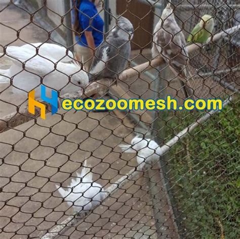Aviary Netting For Parrots Best Mesh For Parrot Aviary