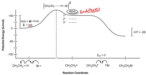 Radical Selectivity Explained Definition Examples Practice And Video