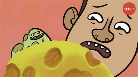 The Most Popular Ted Ed Animations Of 2023 Ted Talks