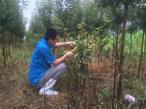 新農人種地十畝，畝產九千多斤，一年收入五萬多元 每日頭條