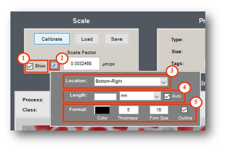 Scale Bar MIPAR User Manual V5 3