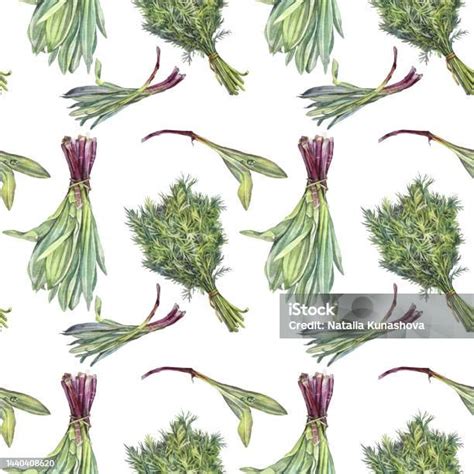 흰색 배경에 딜과 야생 마늘의 매끄러운 패턴 수채화 무리 채식 샐러드를 요리하기 위해 손으로 그린 녹지 비타민 채식주의 자