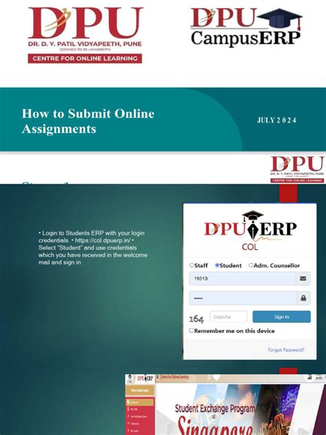 How To Submit Assignment July 24 Pdf