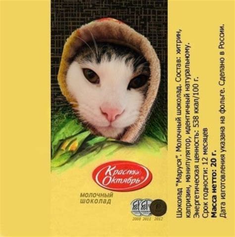 Создать мем рамка овальная ретро обертка шоколада аленка шоколадка аленка шаблон для фотошопа