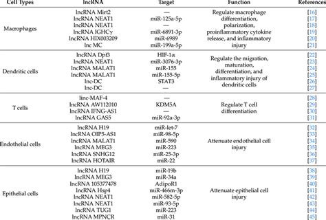 function of intracellular long noncoding rnas download scientific