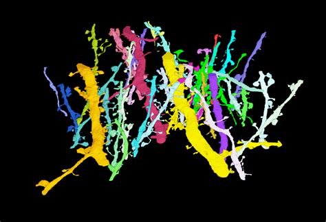 About Synapse The Synapse Symposium