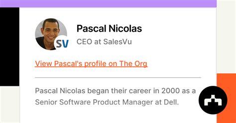 Pascal Nicolas Ceo At Salesvu The Org