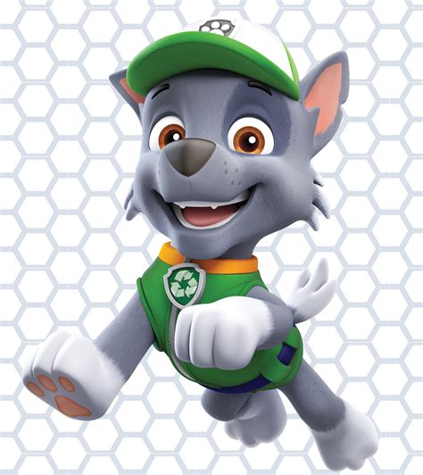 Rocky/Gallery | PAW Patrol Wiki | Fandom | Paw patrol, Paw patrol ...