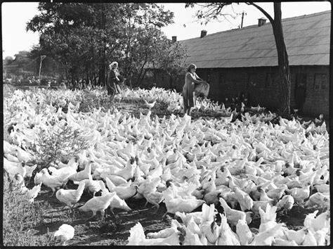 Екологія у фокусі Lvivcenter