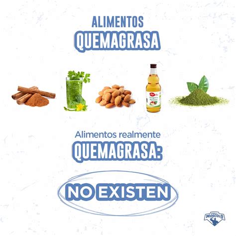 13 Alimentos Para Quemar Grasa Abdominal