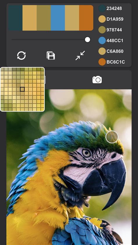 Color Card Pro Apk For Android Download