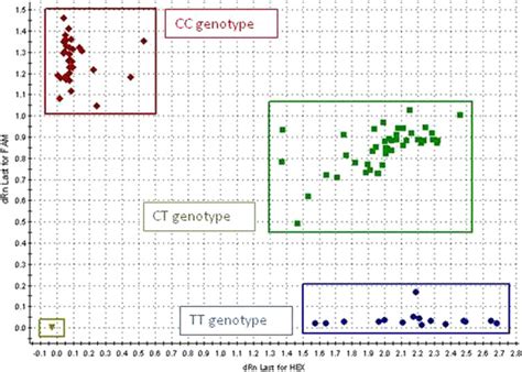 Pcr Realtime Plot For 674ct Vegf Polymorphism Download Scientific