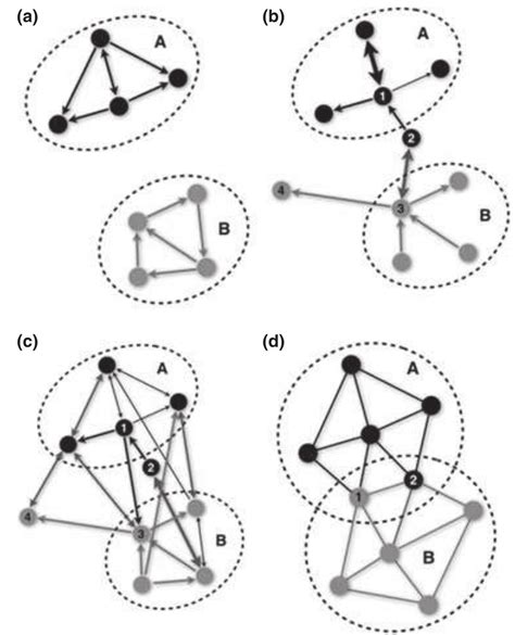 Three Examples Of Networks A Modular Structure Consisting