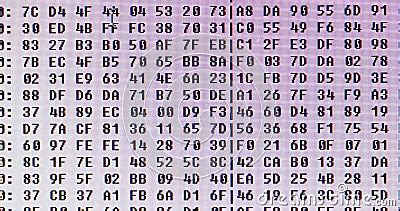 Computer Code In Hexadecimal On Screen Stock Footage Video Of Data Programming