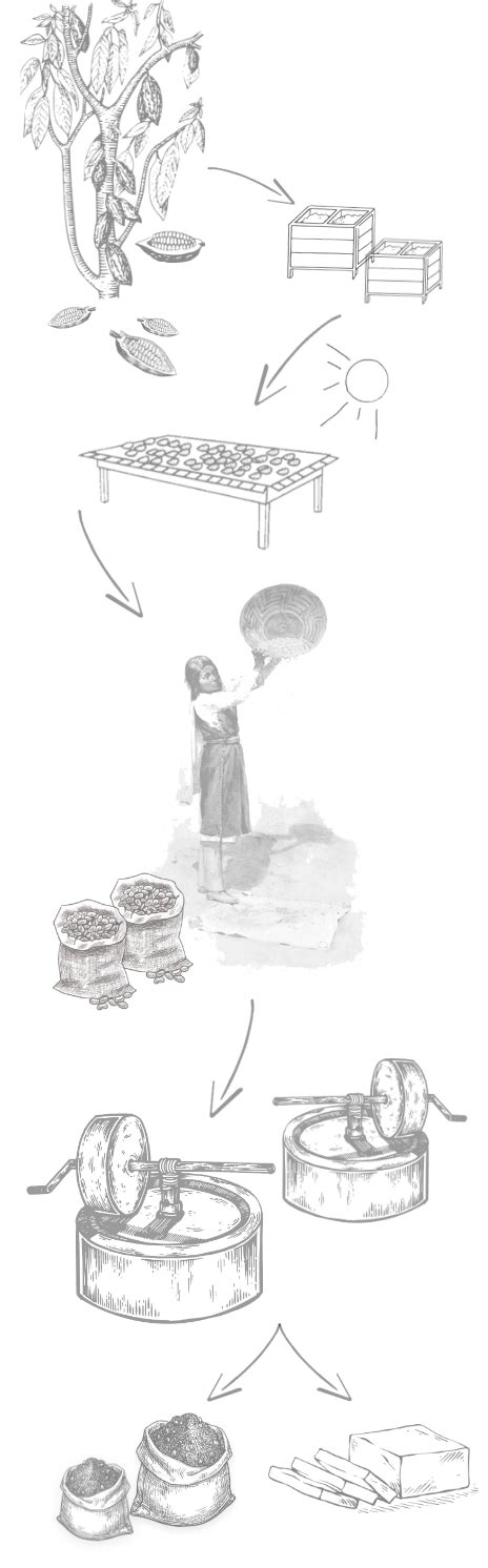 Cacao Knowledge Ubud Raw Chocolate