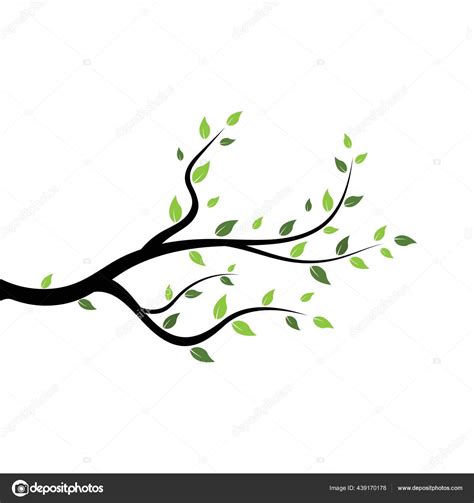 Tree Branch Vector Ilustration Design Template Stock Vector By AminNurRochman 89 439170178
