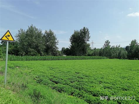 Excel Vba：读取指定目录下的图片文件名称到单元格中 知乎