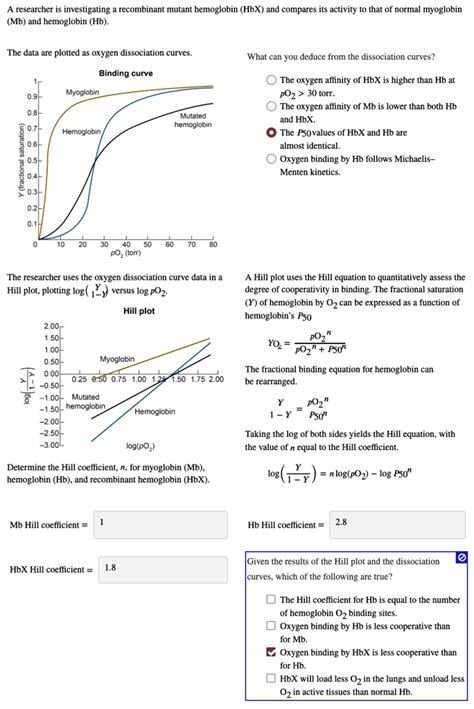 Researcher Is Investigating Recombinant Mutant Hemoglobin Hbx And Compares Its Activity That Of