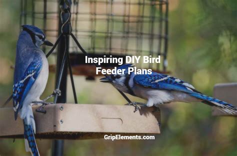 7 Awe Inspiring Diy Bird Feeder Plans Grip Elements