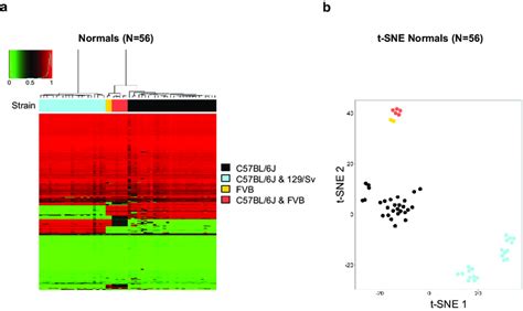 Mouse Strains According To The Genotyping Probes Of The Dna Methylation