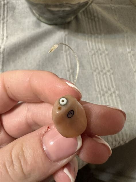 Phonak Cshell 4m Single Hearing Aid Left Ebay