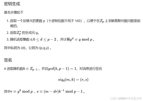 Dsa数字签名的介绍以及针对dsa签名算法的攻击思路 Csdn博客 Dsa数字签名的介绍以及针对dsa签名算法的攻击思路 Csdn博客