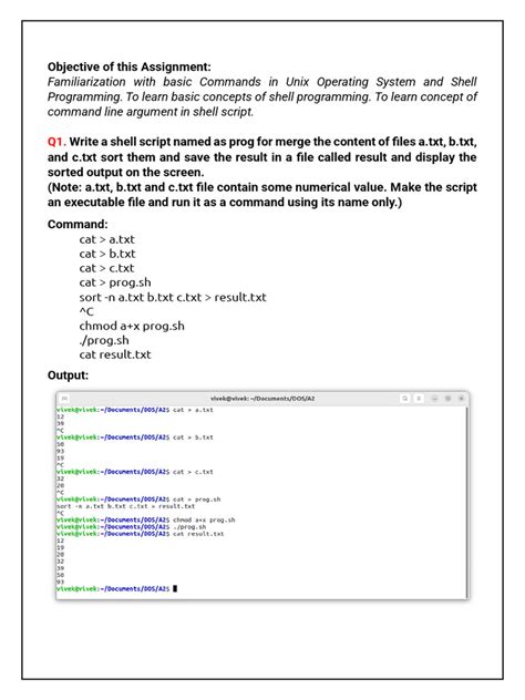 Dos Assignment 2 Pdf User Computing Text File