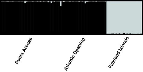 Results Of Cluster Analyses Performed With Structure Admixture Model Download Scientific