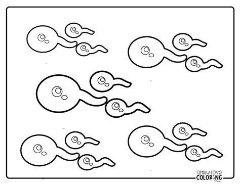 Tadpole Coloring Pages Free PDF Printables Simply Love Coloring