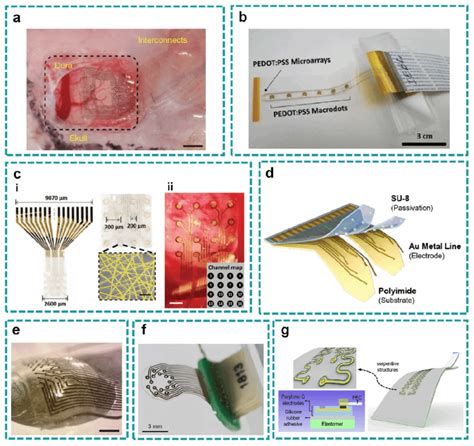 Planar Layout A A Representative Flat Ultrathin Electrode Array With Download Scientific
