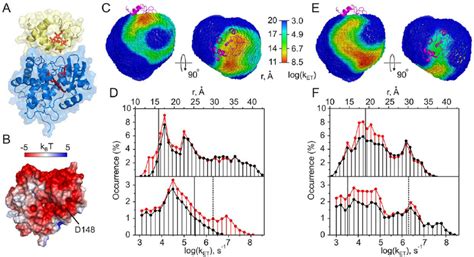 Cc CcP A Crystal Structure Of The Complex Cc And CcP Are In Download Scientific