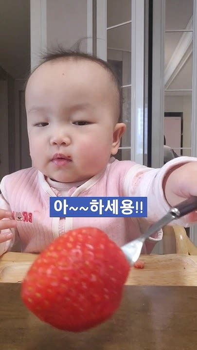딸기 맛보기 딸기먹방 맛있음 딸기체험 Shorts Youtube