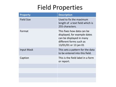 datatypes field properties validation and masking pptx