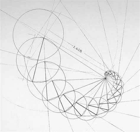 Golden Ratio Rafael Araujo Art Artofit