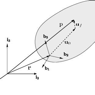 Flexible Body Reference Frames Download Scientific Diagram