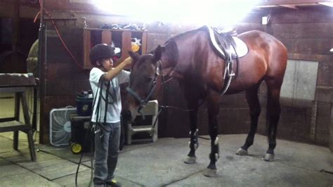 Ludovic Harrisson Équitation Ludo 4 Youtube