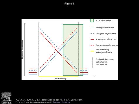 Is Polycystic Ovary Syndrome A Sexual Conflict A Review Ppt Download