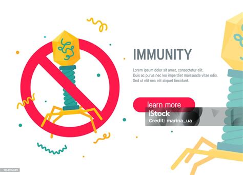 Immune System Template For Web Banners Vector Stock Illustration