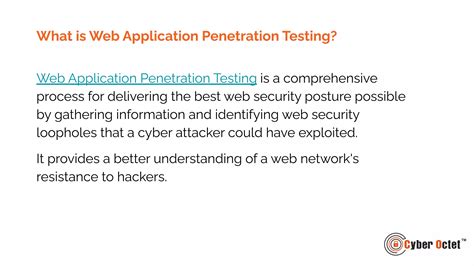 Cyber Octet What Is Web Application Penetration Testing WAPT Pdf