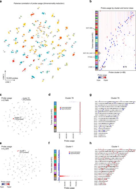 Explainable Artificial Intelligence Of Dna Methylation Based Brain Tumor Diagnostics Pmc