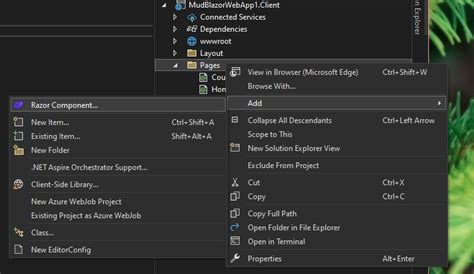 Getting Started With Mudblazor