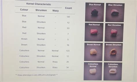 Solved What Is The Ratio Of Coloured To Colourless Kernels