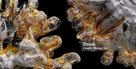 추상 예술의 3d 렌더링 곡선 선에 초현실적인 유기 액체 물질의 일부가 있는 3d 배경 작은 공 구체를 기반으로 한 먼지 입자 노란색 금색과 검은색 흰색 색상의 먼지 입자