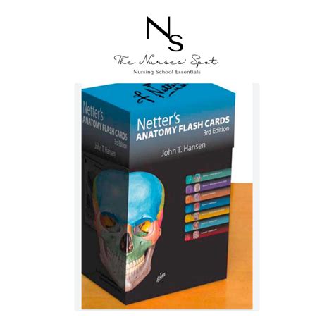 Netters Anatomy Flashcards 3rd Edition Lazada Ph