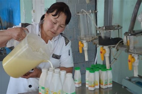 “Их халбаганат”ХХК ийнхан ингэний сүүгээр зайрмаг бялуу зэргийг үйлдвэрлэдэг