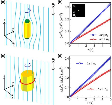 Color Online Diffusion Of Nps With Planar And Homeotropic Surface