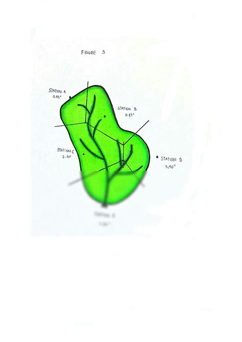Solution Engineering Hydrology Sample Problem With Solution Using Thiessen Polygon Method